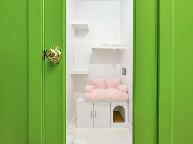 Top 20 Cat Hotels That Will Make You Purr