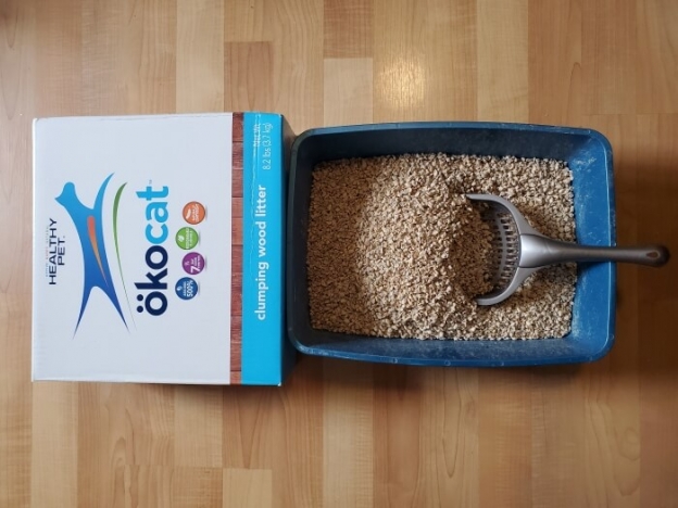 5 Best Flushable Cat Litter - Cats.com
