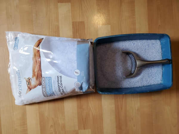 The 12 Best Clumping Cat Litters in 2023 - Cats.com