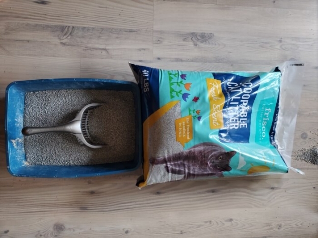 The 12 Best Clumping Cat Litters in 2023 - Cats.com