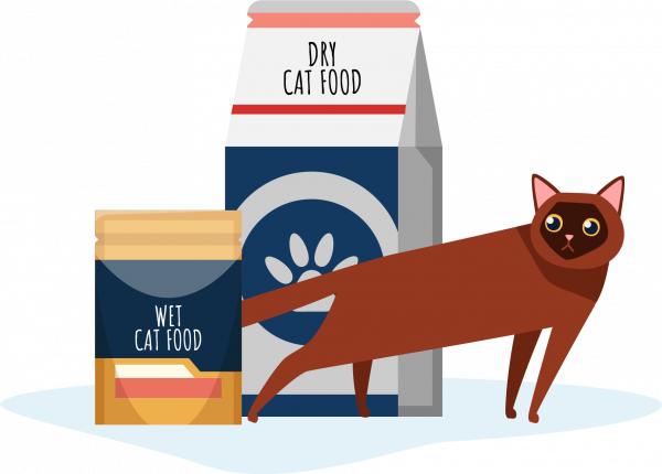The Complete Guide To Feline Nutrition - Cats.com