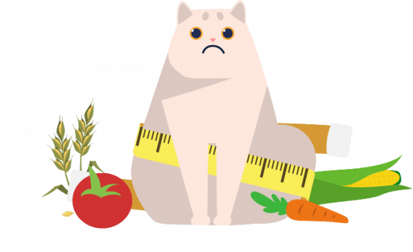 The Complete Guide To Feline Nutrition - Cats.com