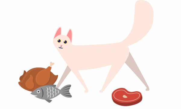 The Complete Guide To Feline Nutrition - Cats.com