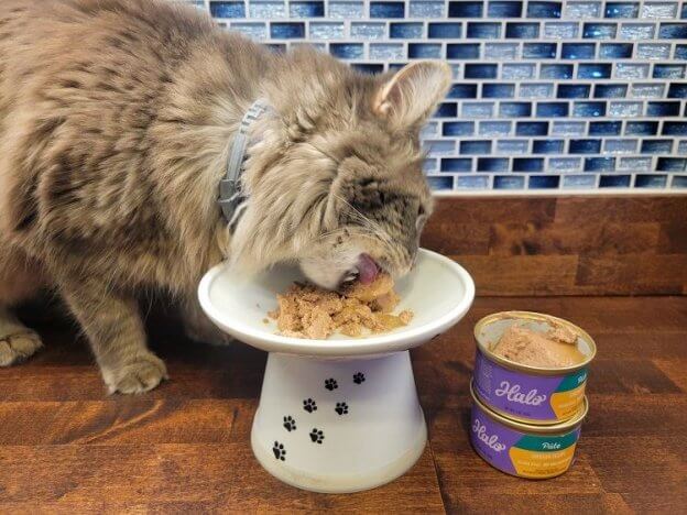 Unbiased Halo Cat Food Review - Cats.com