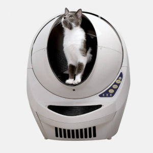 The 8 Best Litter Boxes for Senior Cats - Cats.com