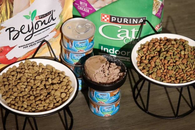 Unbiased Purina Cat Food Review - Cats.com