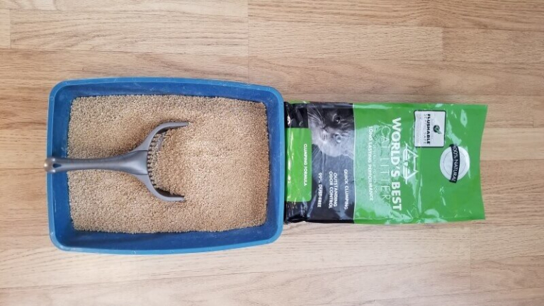 The 12 Best Clumping Cat Litters in 2023 - Cats.com