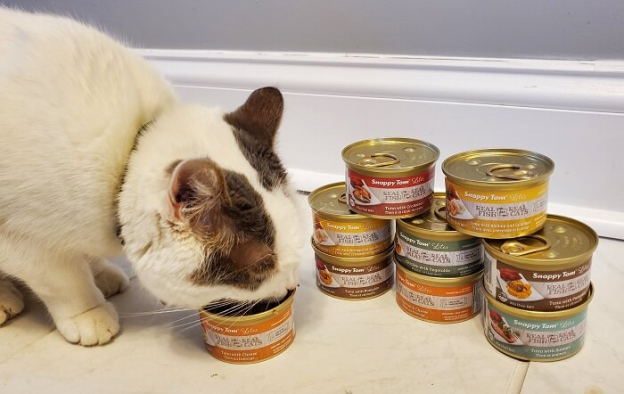 Unbiased Snappy Tom Cat Food Review - Cats.com