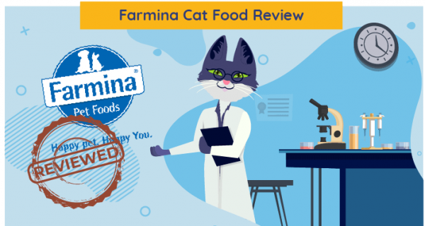 Unbiased Farmina Cat Food Review In 2023 - Cats.com