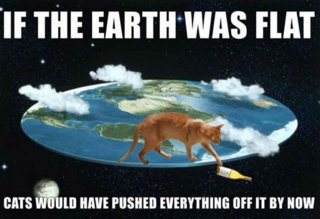 51 Funny Cat Memes That Will Make Your Day a Little Better - Cats.com