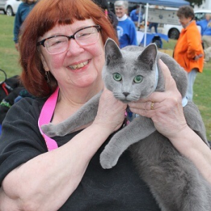 Russian Blue Cat Breed: Size, Appearance & Personality