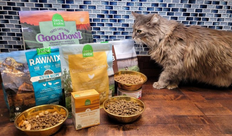 Unbiased Open Farm Cat Food Review - Cats.com