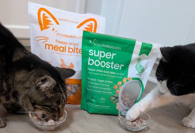 Unbiased Smallbatch Pets Cat Food Review - Cats.com