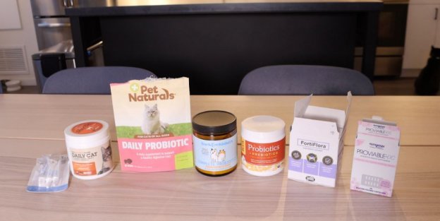 8 Best Cat Vitamins and Supplements (Purchased & Tested) - Cats.com