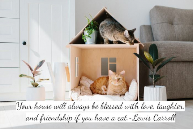 100 Most Popular Cat Love Quotes Of All Time - Cats.com