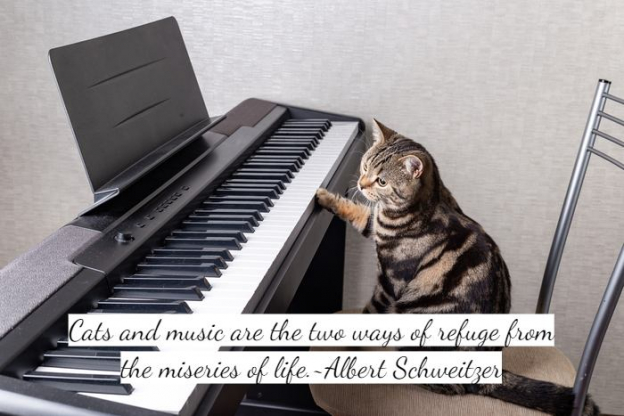100 Most Popular Cat Love Quotes Of All Time - Cats.com