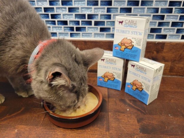 Unbiased Caru Cat Food Review - Cats.com