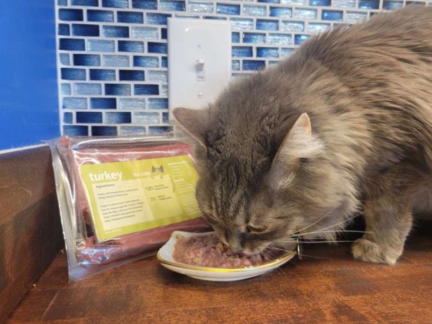 7 Best Fresh Cat Food Meal Delivery Services in 2026 - Cats.com