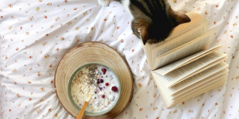 Can Cats Eat Oatmeal? - Cats.com
