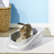 The 7 Best Litter Boxes for Kittens - Cats.com