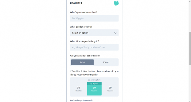 The Cool Cat Club Subscription Service Review - Cats.com