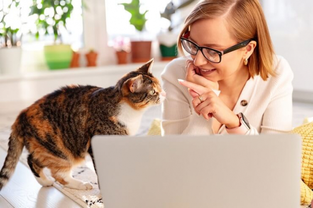 Are Cats Possessive Of Their Owners? - Cats.com