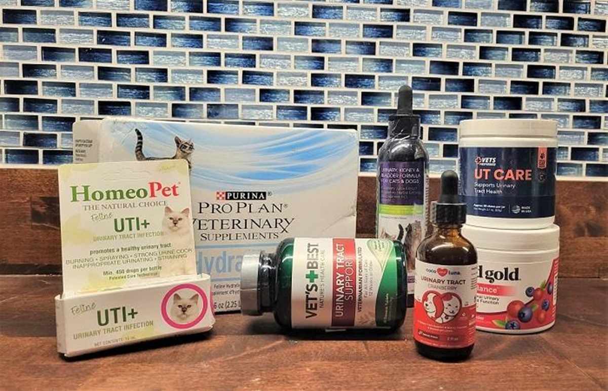 The 8 Best Supplements for Cat Urinary Health - Cats.com