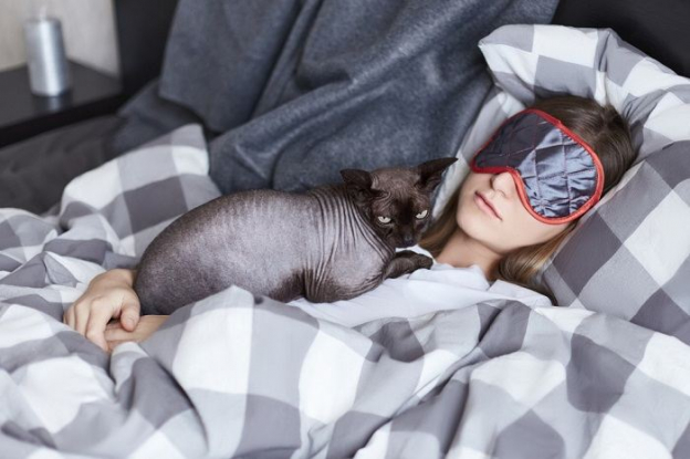 Why Do Cats Sit On Your Chest? 11 Reasons Why! - Cats.com