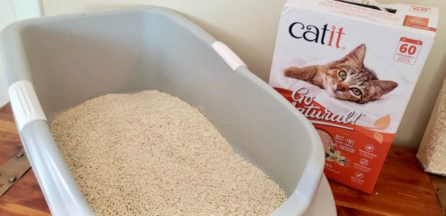 Catit Go Natural Pea Husk Cat Litter Review - Cats.com