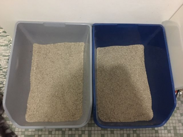 How Many Litter Boxes Should You Have Per Cat? - Cats.com