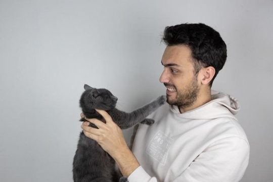How to Discipline a Cat the Right Way - Cats.com
