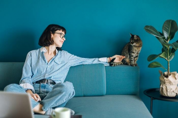 Do Cats Understand Words? A Vet Explains - Cats.com