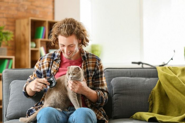 How Much Attention Do Cats Need? A Vet Explains - Cats.com