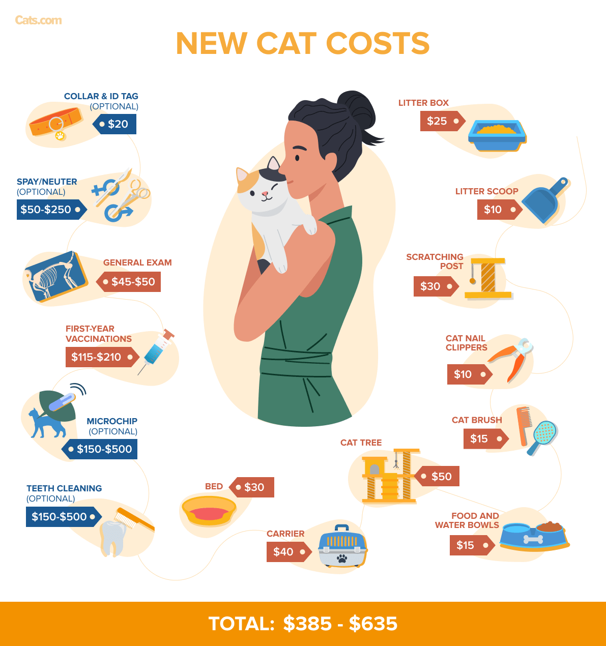 How Much Does It Cost To Own A Cat In 2024 Cats How Much Does It Cost To Own A Cat In 2024 Cats
