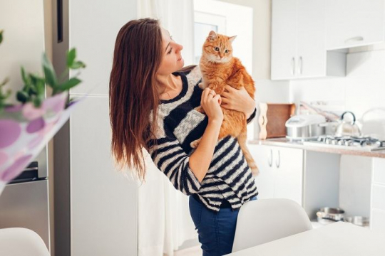 How To Hold A Cat Without Getting Scratched - Cats.com