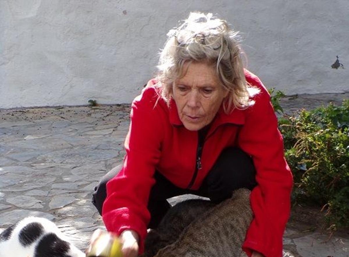 The Crazy Cat Woman Of Skyros - Cats.com