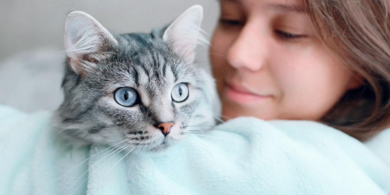 How Much DNA Do We Share With Cats? - Cats.com