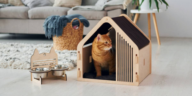 15 Tips To Help Your Cat Adjust to Your Home - Cats.com