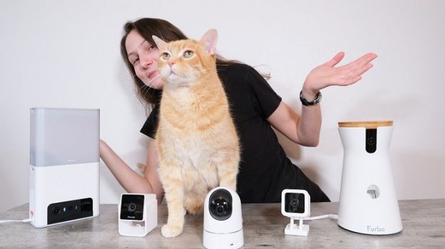 5 Best Pet Cameras for Cats: Unbiased Review - Cats.com
