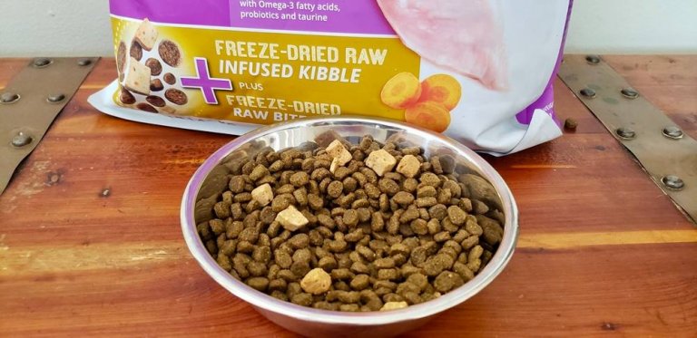 Unbiased Catit Double Fusion Indoor Cat Food Review - Cats.com