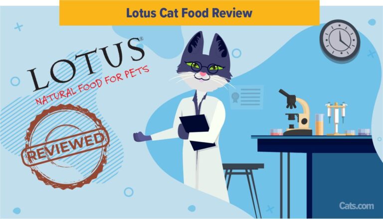 Unbiased Lotus Cat Food Review - Cats.com
