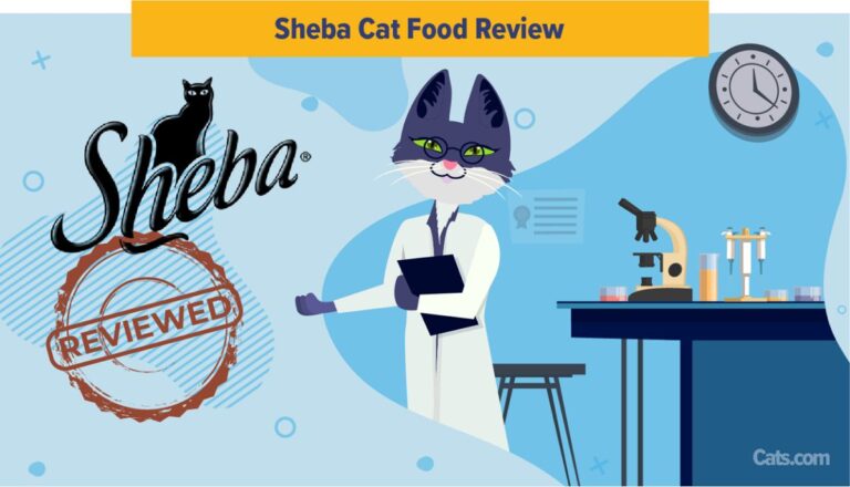 Unbiased Sheba Cat Food Review In 2023 - Cats.com