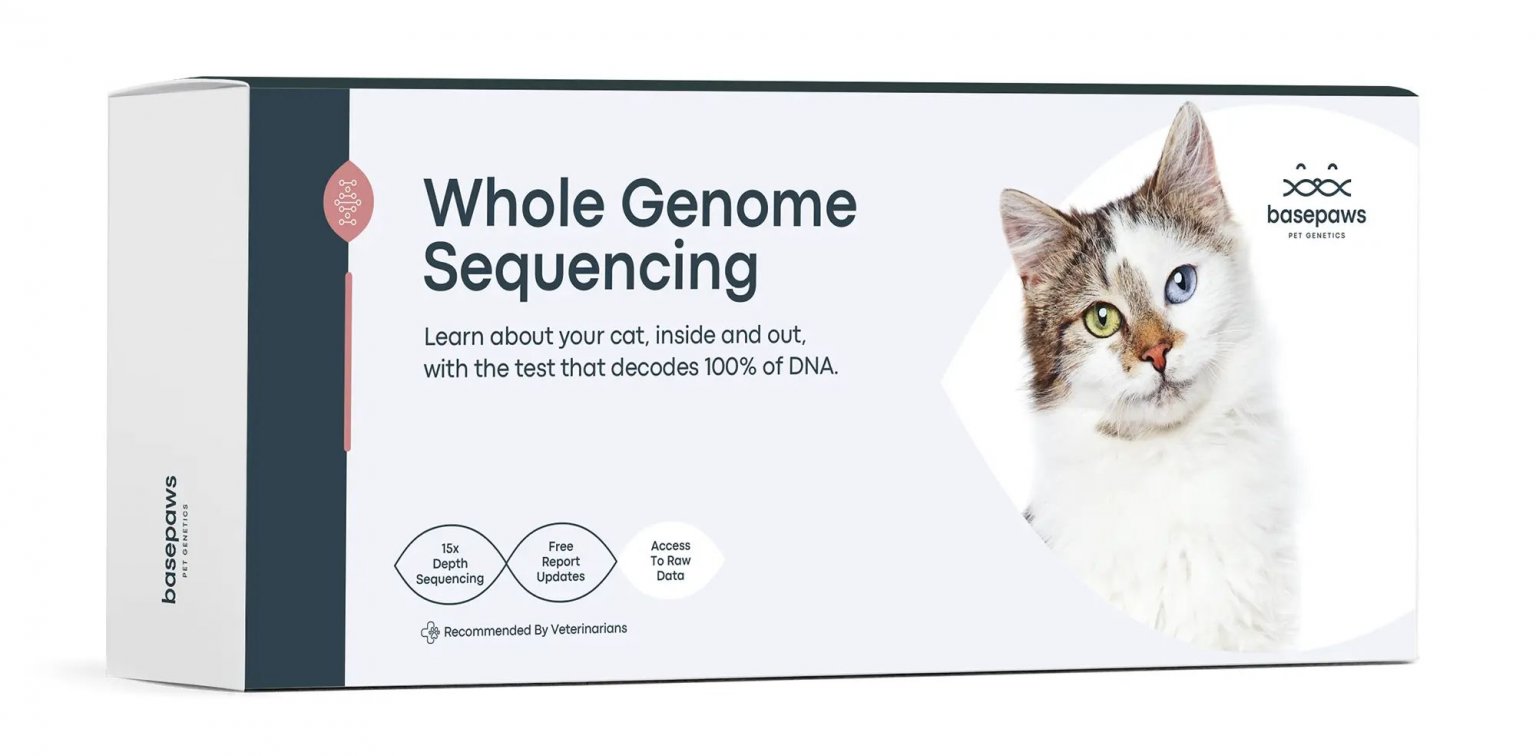The 5 Best Cat DNA Tests: We Tried Them All - Cats.com