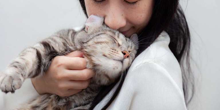 What Does It Mean When A Cat Head Bumps You