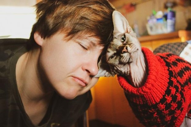 What Does It Mean When a Cat Head Bumps You? - Cats.com