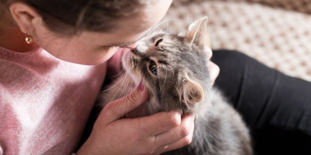10 Ways Your Cat Is Communicating With You - Cats.com