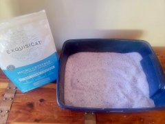 Unbiased ExquisiCat Litter Review - Cats.com