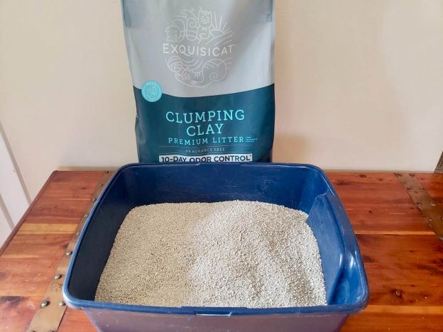 Unbiased ExquisiCat Litter Review - Cats.com