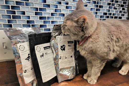 Unbiased Hare Today Cat Food Review - Cats.com