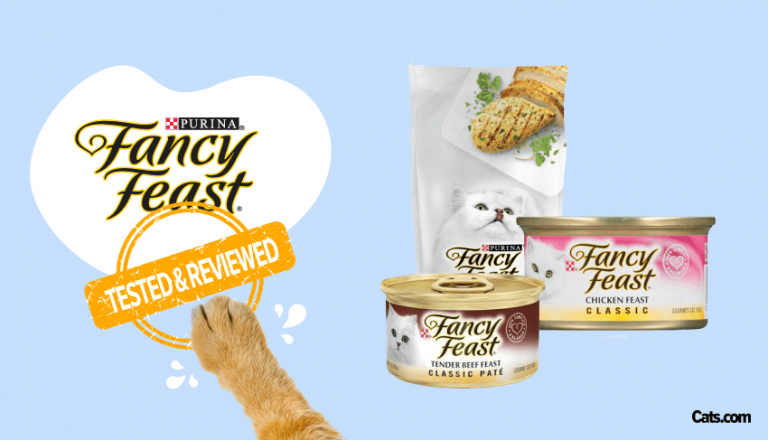 Unbiased Fancy Feast Cat Food Review - Cats.com